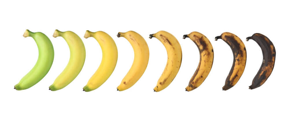 Nährwerte der Banane – Diese Tabelle kann sich sehen lassen! Verival Blog